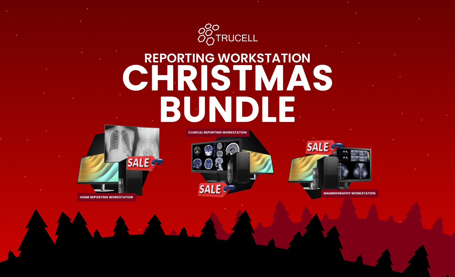 Reporting Workstation Christmas Bundle